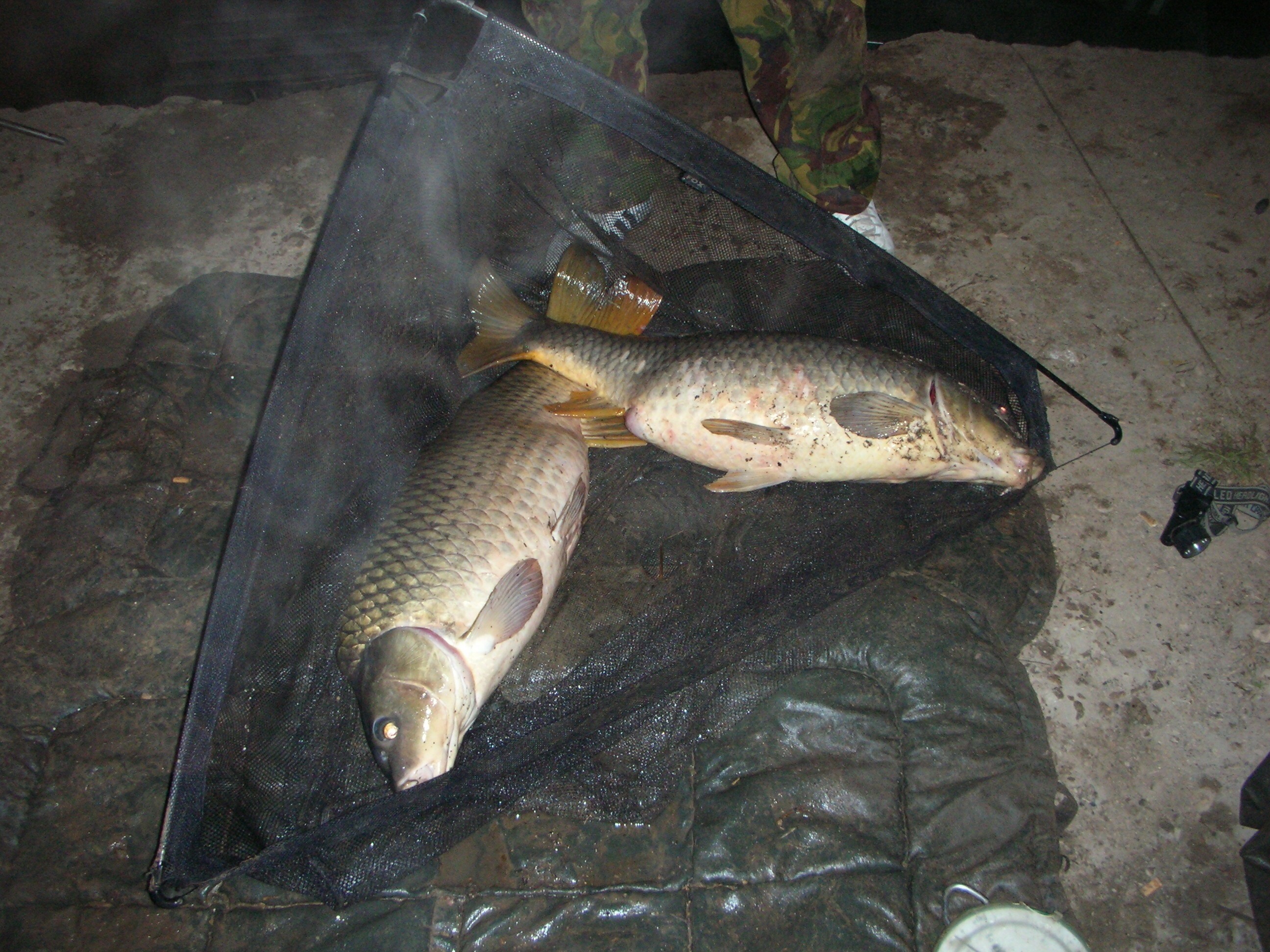 amazing ebro carp fishing with friend nick shattock