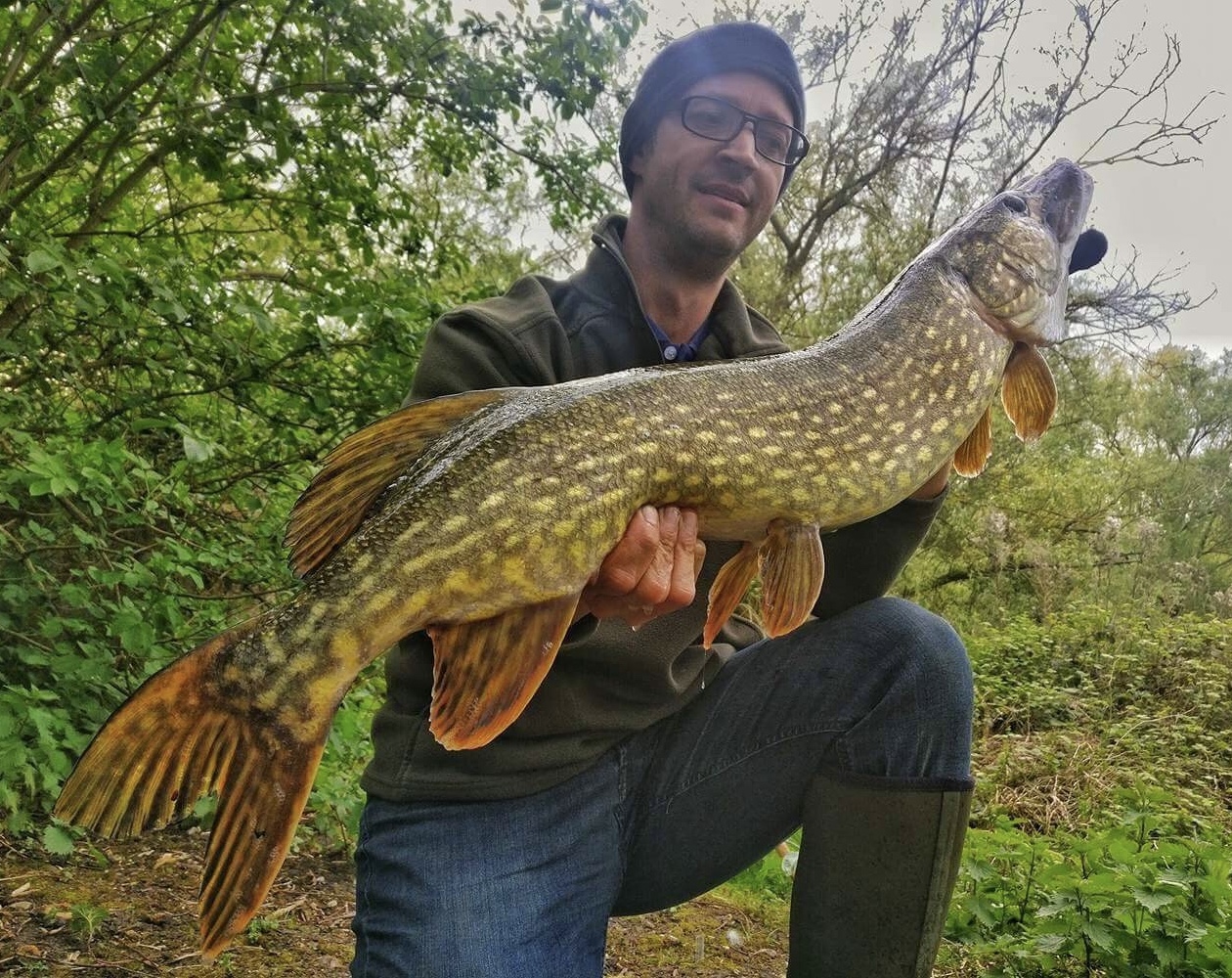 pike fishing in the lea valley around hertfordshire and essex