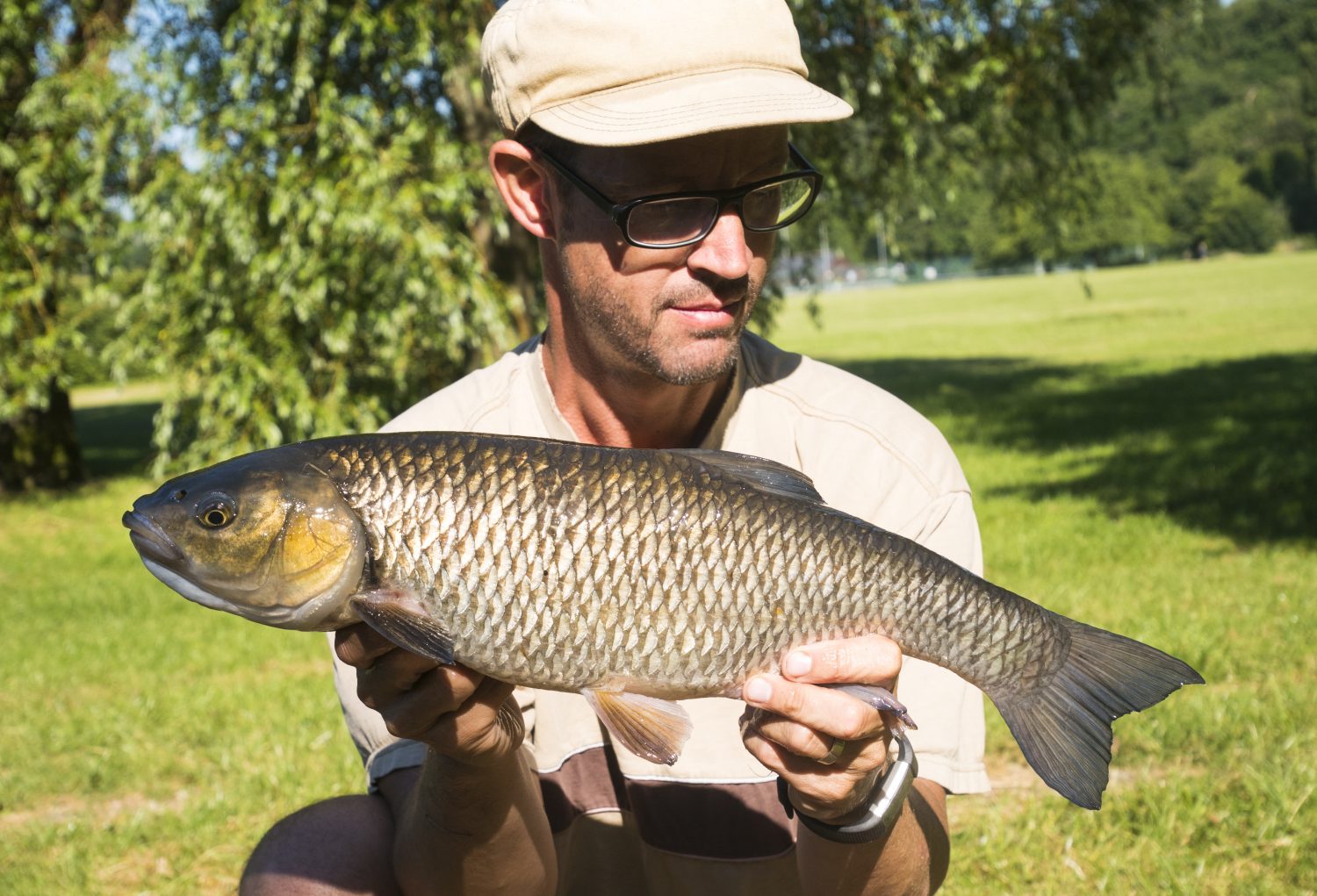 chub-fishing-on-the-river-lea