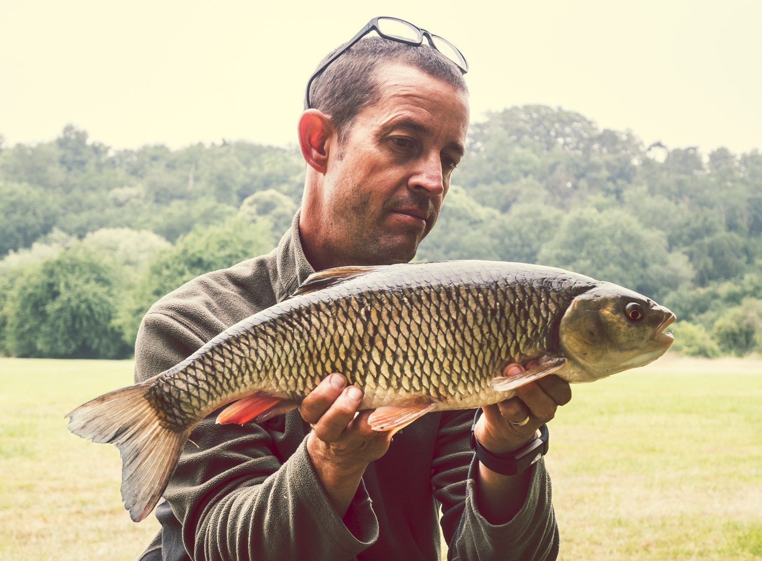 chub-fishing-on-the-river-lea