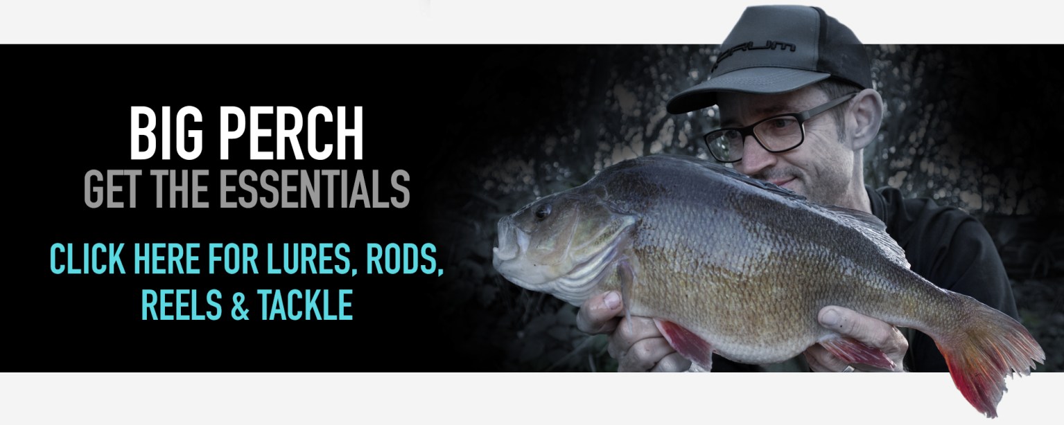 Perch Fishing The Ned Rig - Finesse tackle and approach