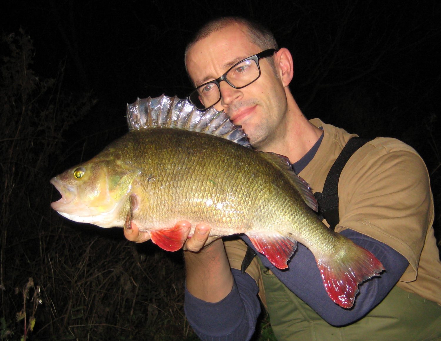 big perch fishing | tactics and methods on rivers and stillwaters