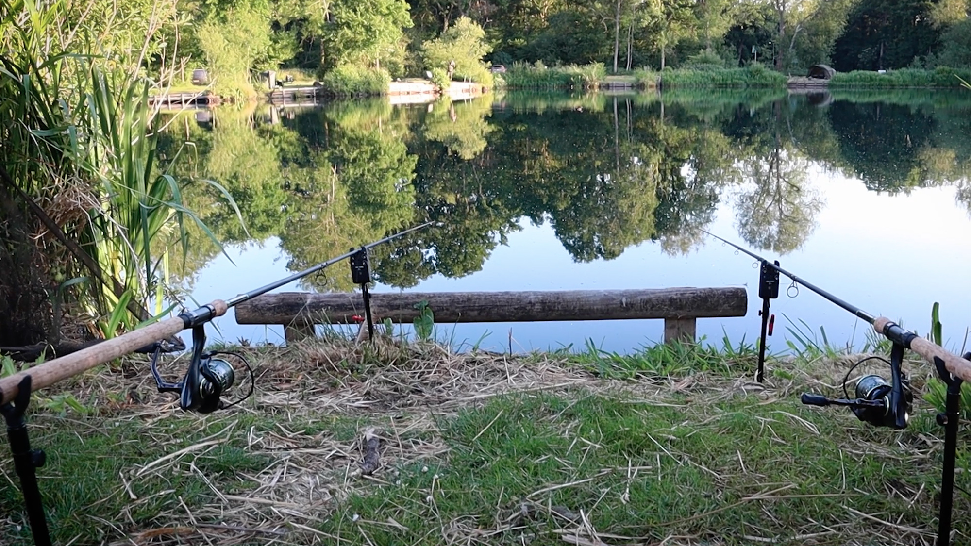 Tench Fishing with the Method Feeder - Life on the bank