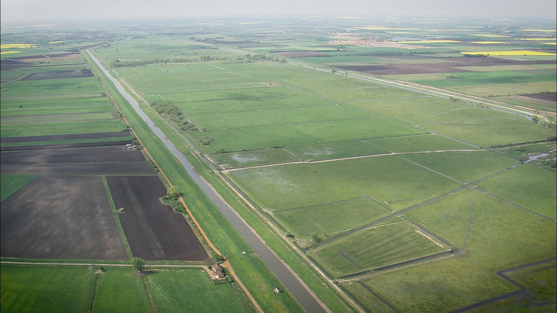 Rudd fishing in the Fens - Life on the bank