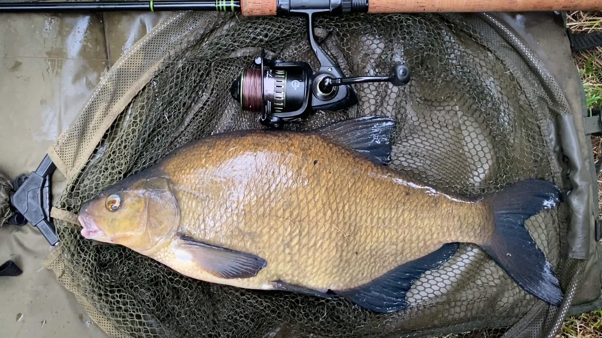 04-Bream - Life on the bank