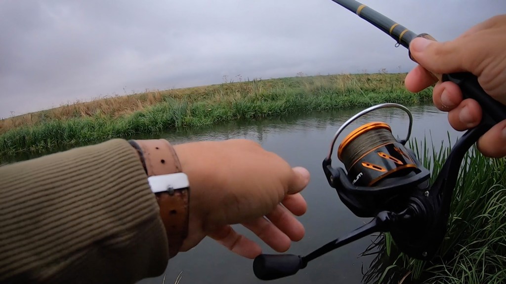 Rudd fishing in the Fens - Life on the bank