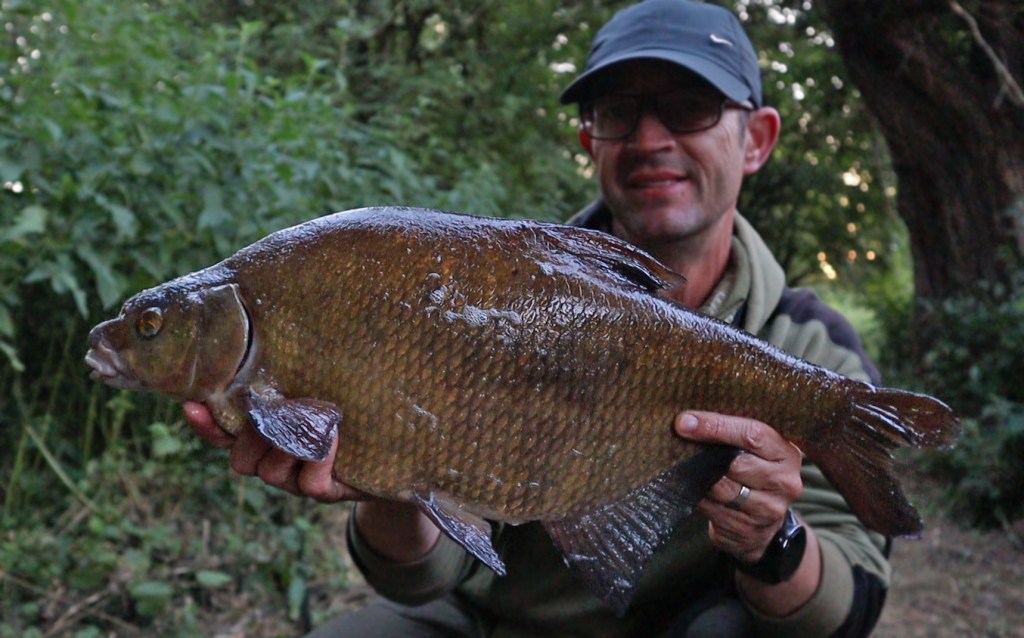 river carp fishing rigs and tips - Life on the bank