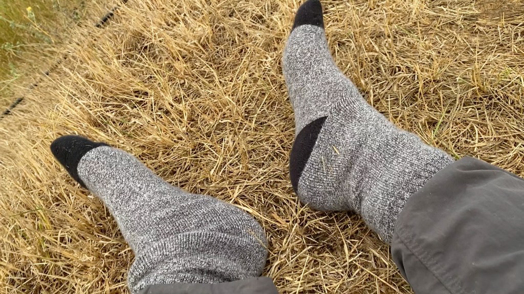 Rudd fishing in the Fens - Life on the bank