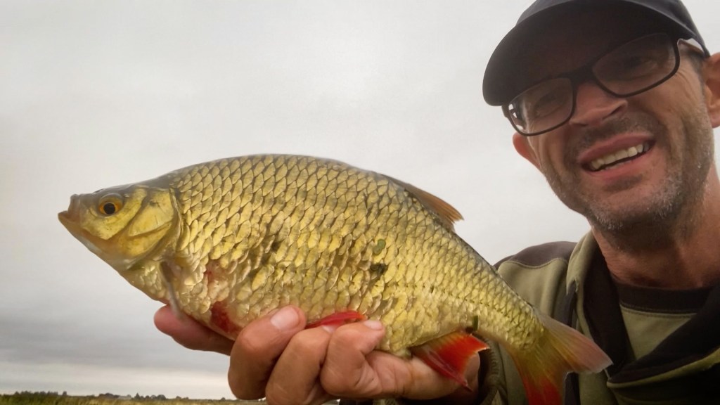 Rudd fishing in the Fens - Life on the bank