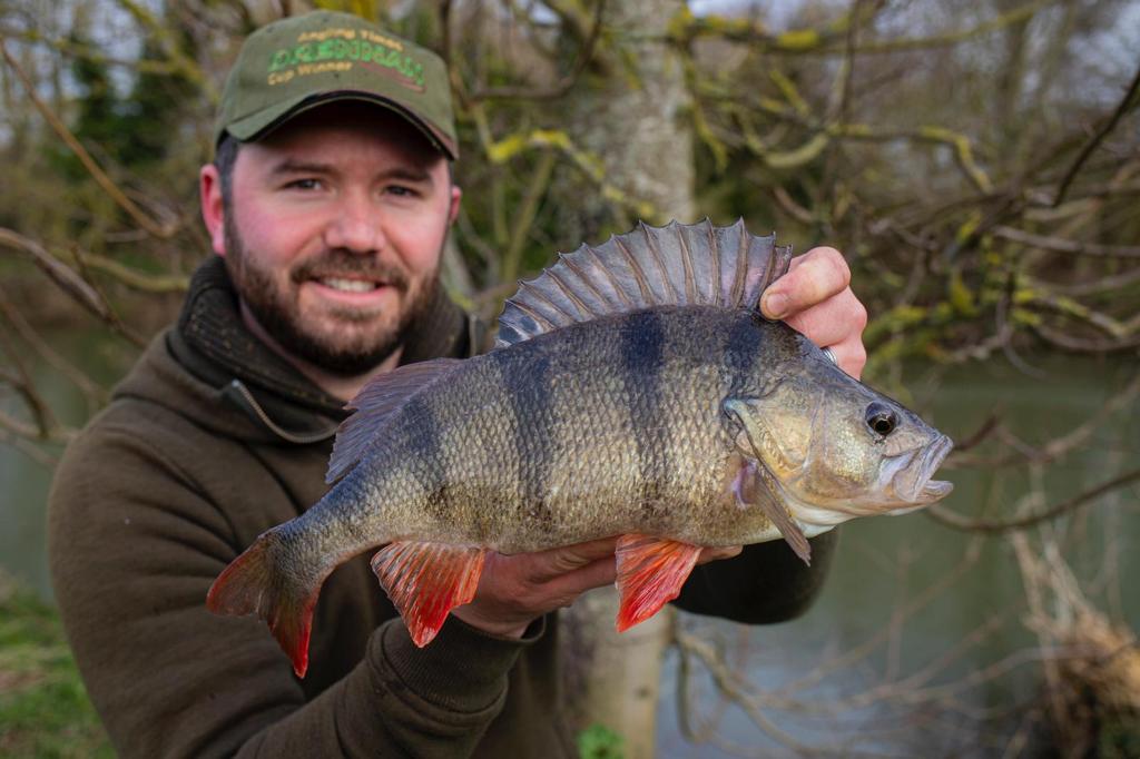Mark Austin Perch Fishing Masters - Lures and Top Tips - Life on the bank