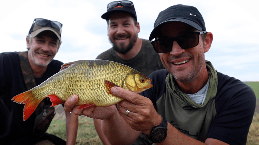 Rudd fishing tips - success on the Fens - Life on the bank