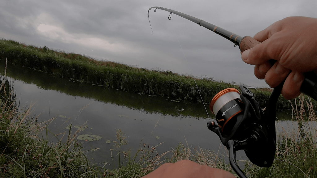 Rudd fishing tips - success on the Fens - Life on the bank