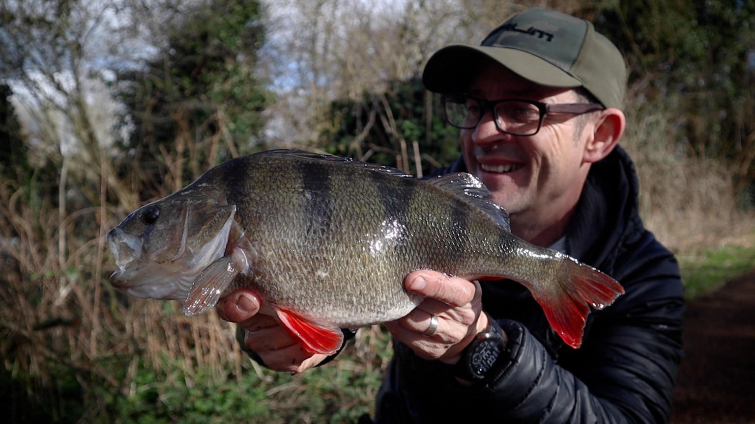 Perch Fishing on Canals, Lakes, Reservoirs and Ponds - Life on the bank