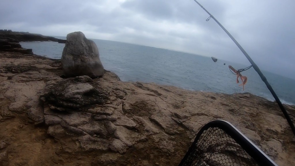 Wrasse Fishing in Dorset: A Perch Angler's Adventure - Life on the bank