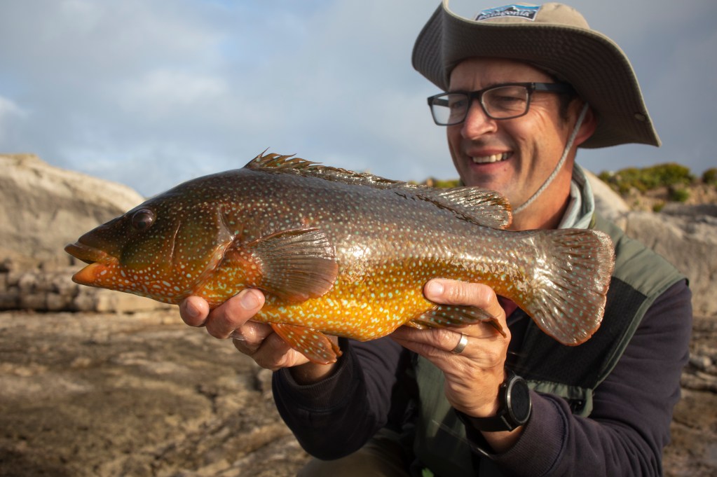 Wrasse Fishing in Dorset: A Perch Angler's Adventure - Life on the bank