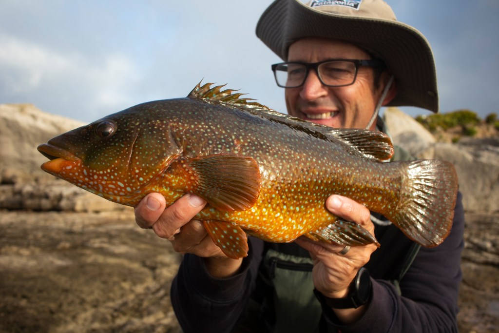 Wrasse Fishing in Dorset: A Perch Angler's Adventure - Life on the bank