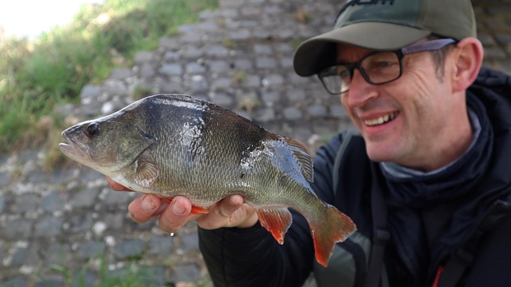 How to catch perch with lures on the canal