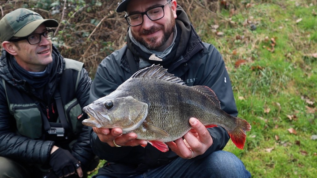 How to catch perch with lures on the canal