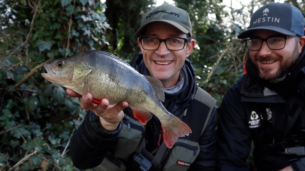 How to catch perch with lures on the canal