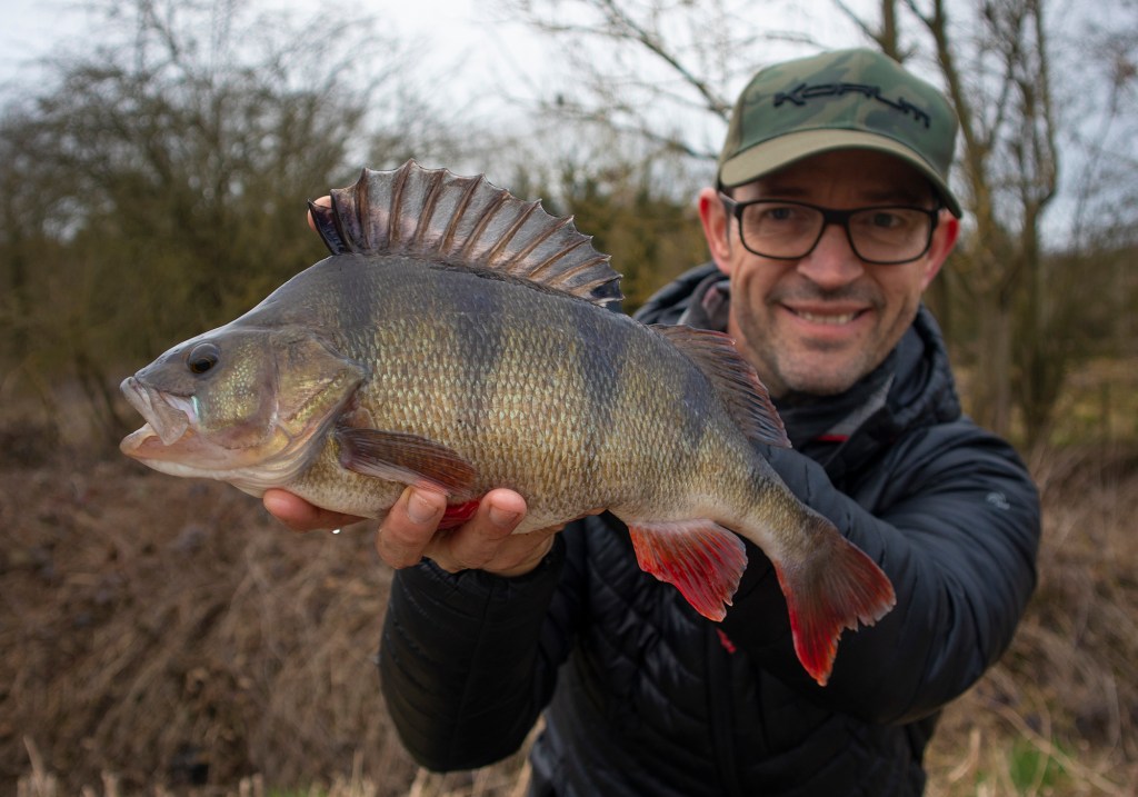 Perch Fishing with Crankbaits - Life on the bank