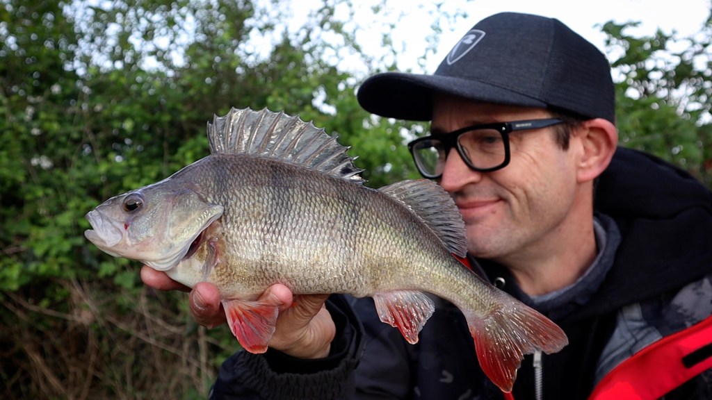Perch Fishing in Coloured Water with Lures - Life on the bank