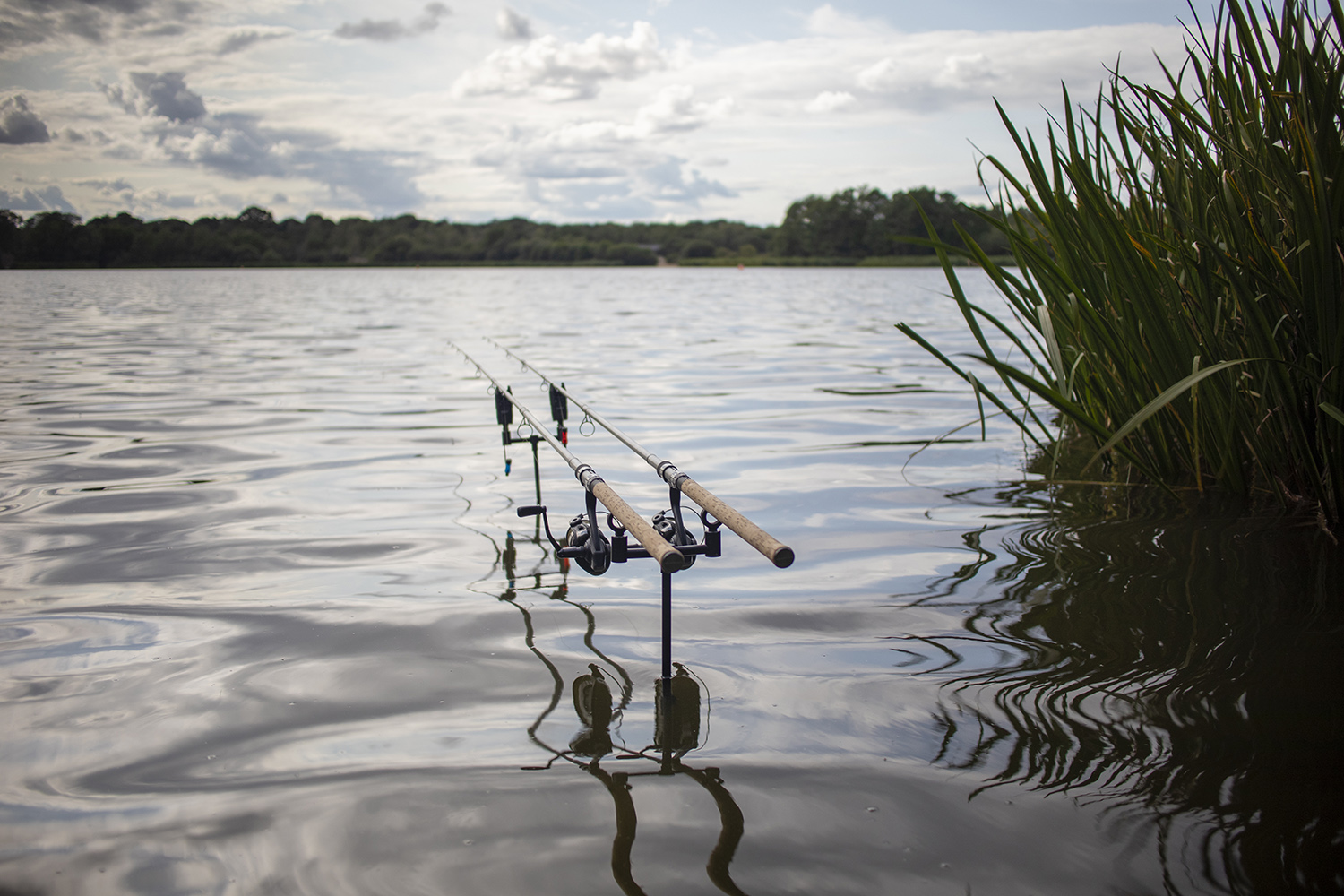 5-Rods-Out-1 - Life on the bank