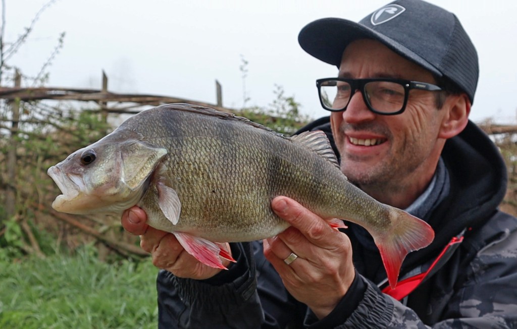 Perch Fishing in Coloured Water with Lures - Life on the bank